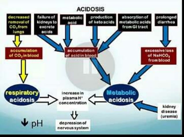 Acid base and ABG interpretation in ICU | PPT