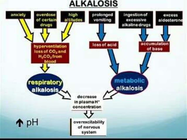 Acid base and ABG interpretation in ICU | PPT