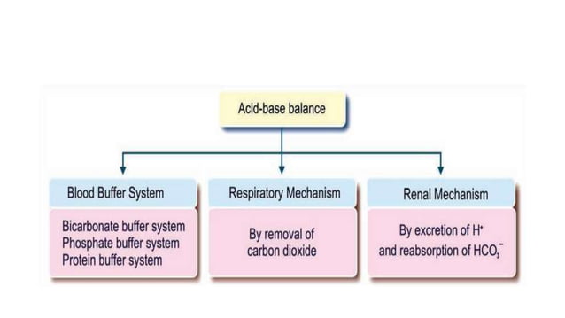 ABG in liver disease.pptx