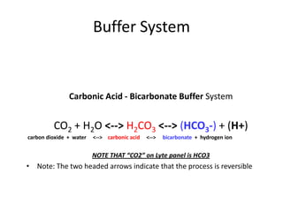 Abg interpretation | PPT
