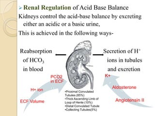 Abg interpretation | PPTX