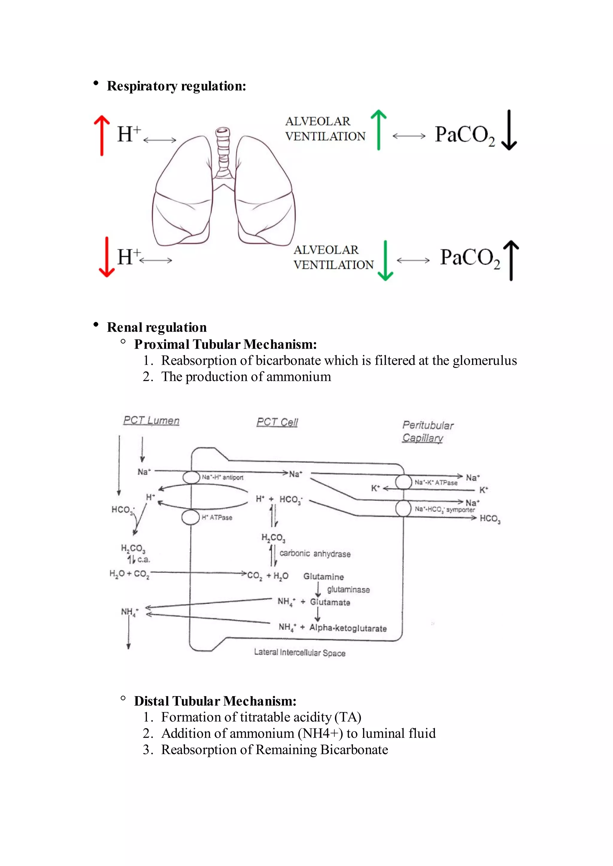 Abg interpretation | PDF