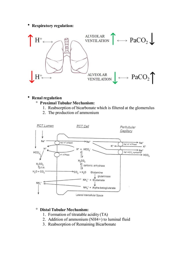 Abg interpretation | PDF