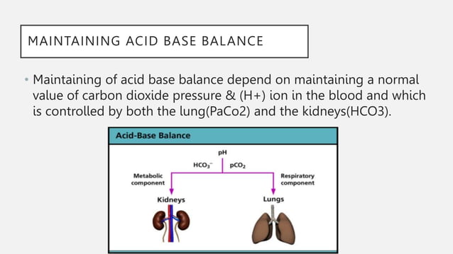 ABG interpretation | PPTX