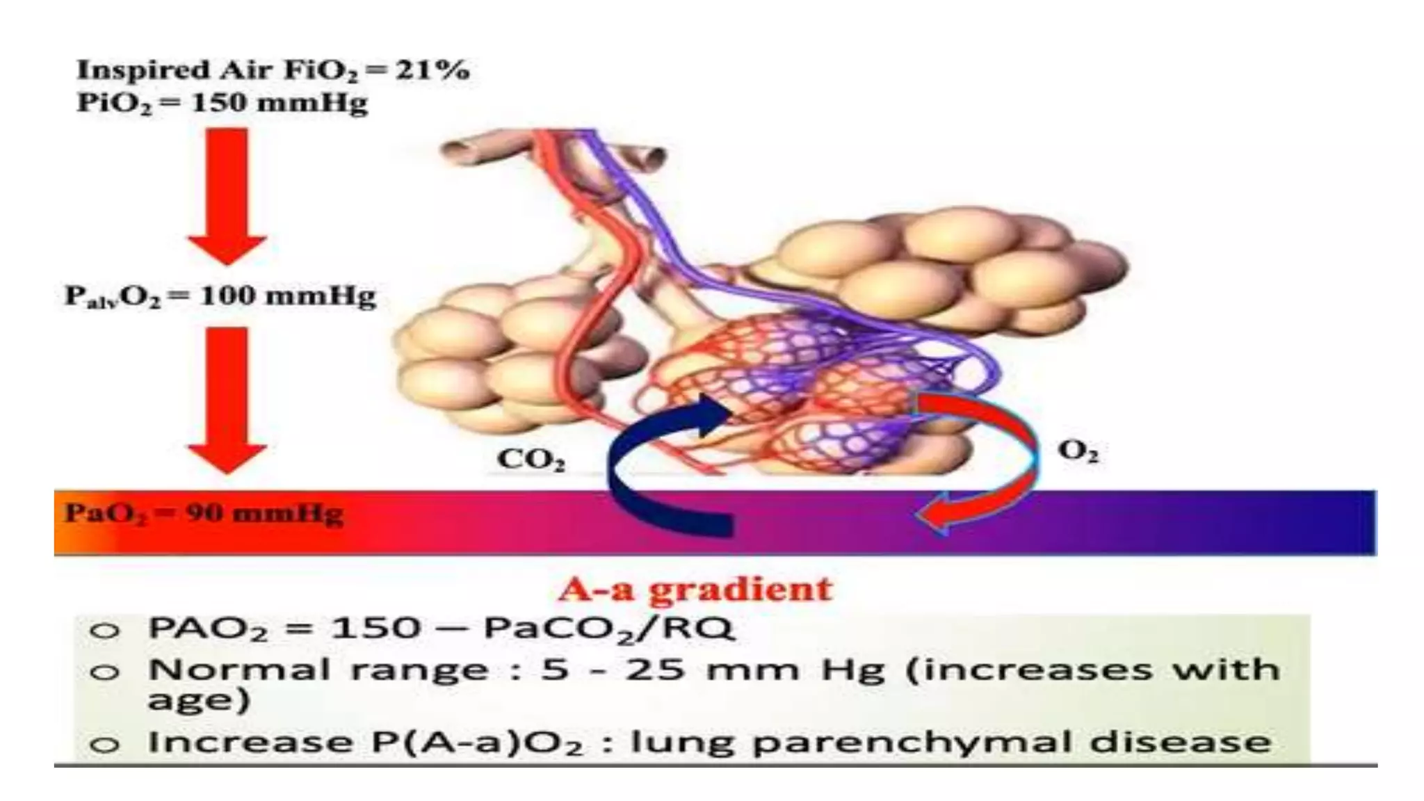 ABG Interpretation.pptx