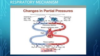 ABG Interpretation with case REPORTS.pptx
