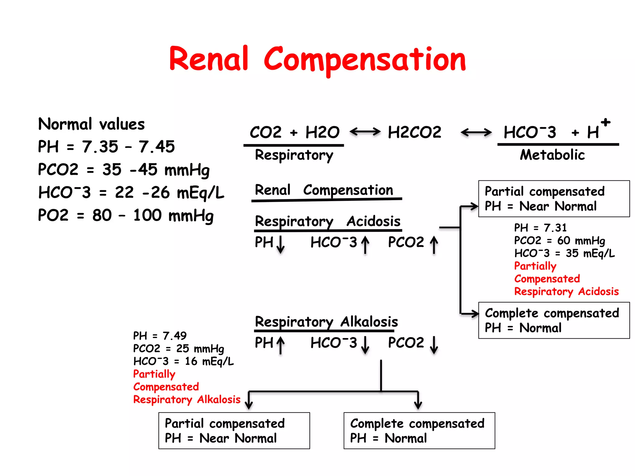 Arterial Blood Gases | PPT