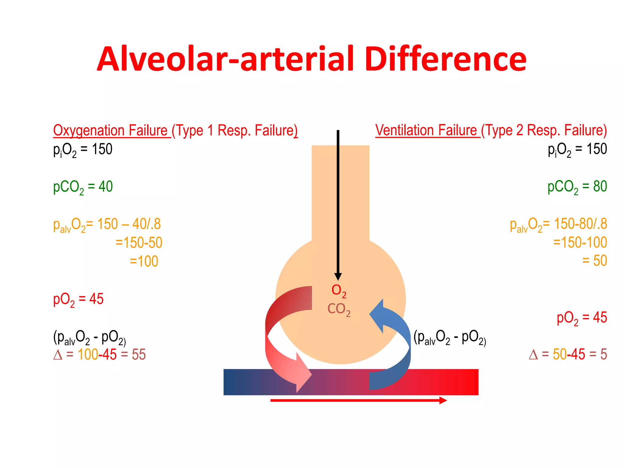 Arterial Blood Gas Interpretation | PPTX