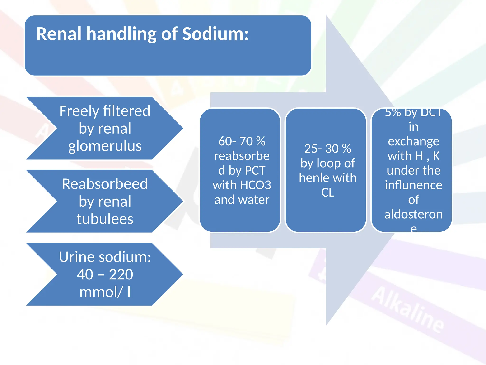 ABG ( Under graduate)Urine sample collection and examination.pptx ...