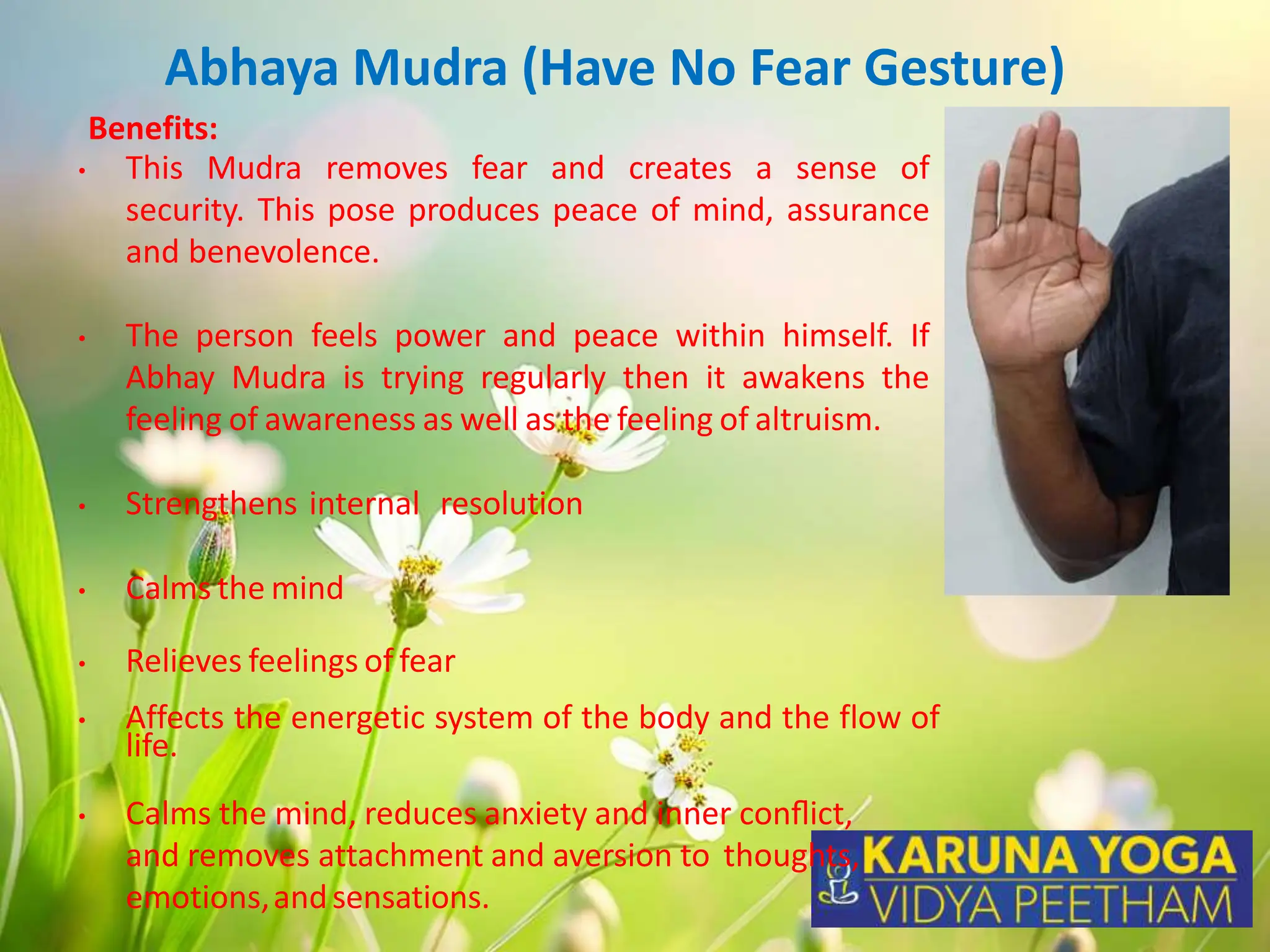 Abhaya Mudra (Have No Fear Gesture)ppt.pptx