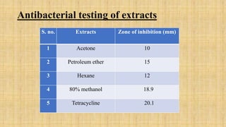 Abhay Thesis ppt 2023.pptx