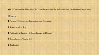 Abhay Thesis ppt 2023.pptx