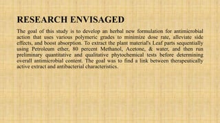 Abhay Thesis ppt 2023.pptx