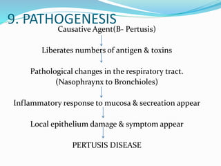 Pertusis or Whooping cough class presentation | PPTX