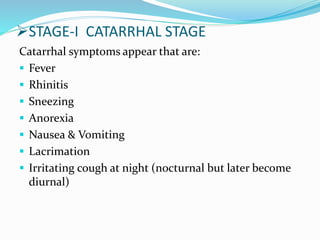 Pertusis or Whooping cough class presentation | PPTX