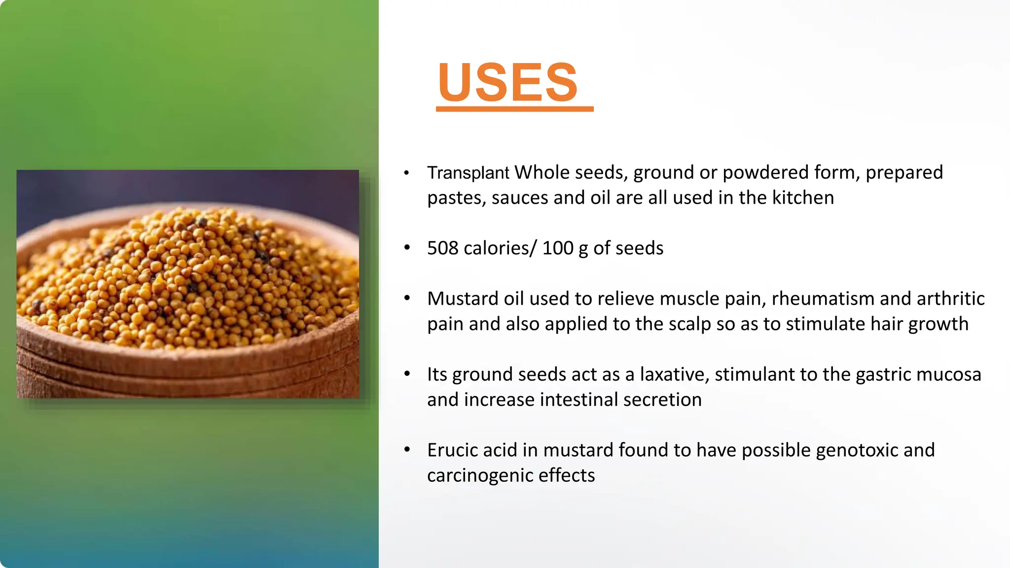 Advance cultivation of mustard in the world | PPTX