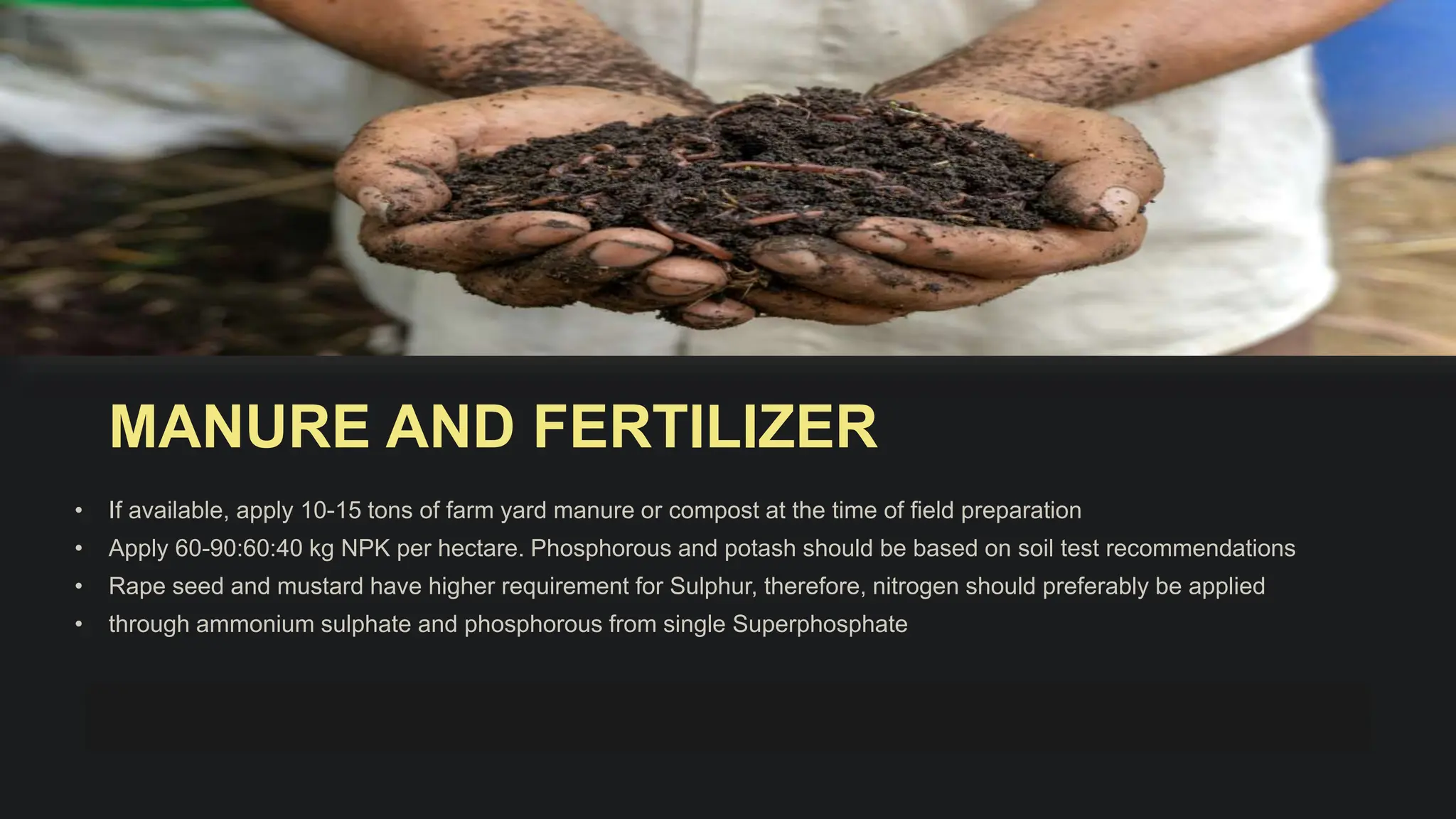 Advance cultivation of rapeseed in india | PPTX