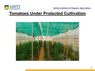 Protected Cultivation .ppt | Agriculture | Industries