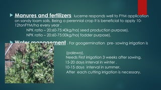 Lucerne production technology and It's Deleterious effect. | PPTX