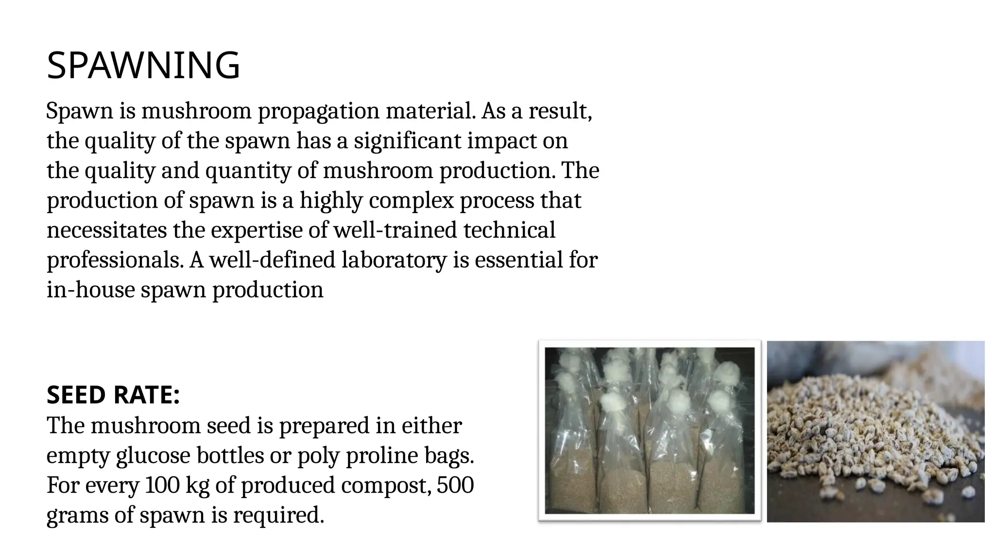 MUSHROOM ELP MODULE DETAILED STUDY OF MUSHROOM PRODUCTION | PPTX