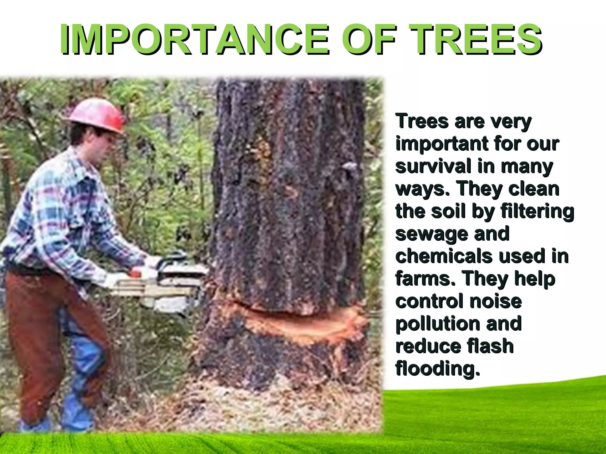 ON KILLING A TREE | PPT