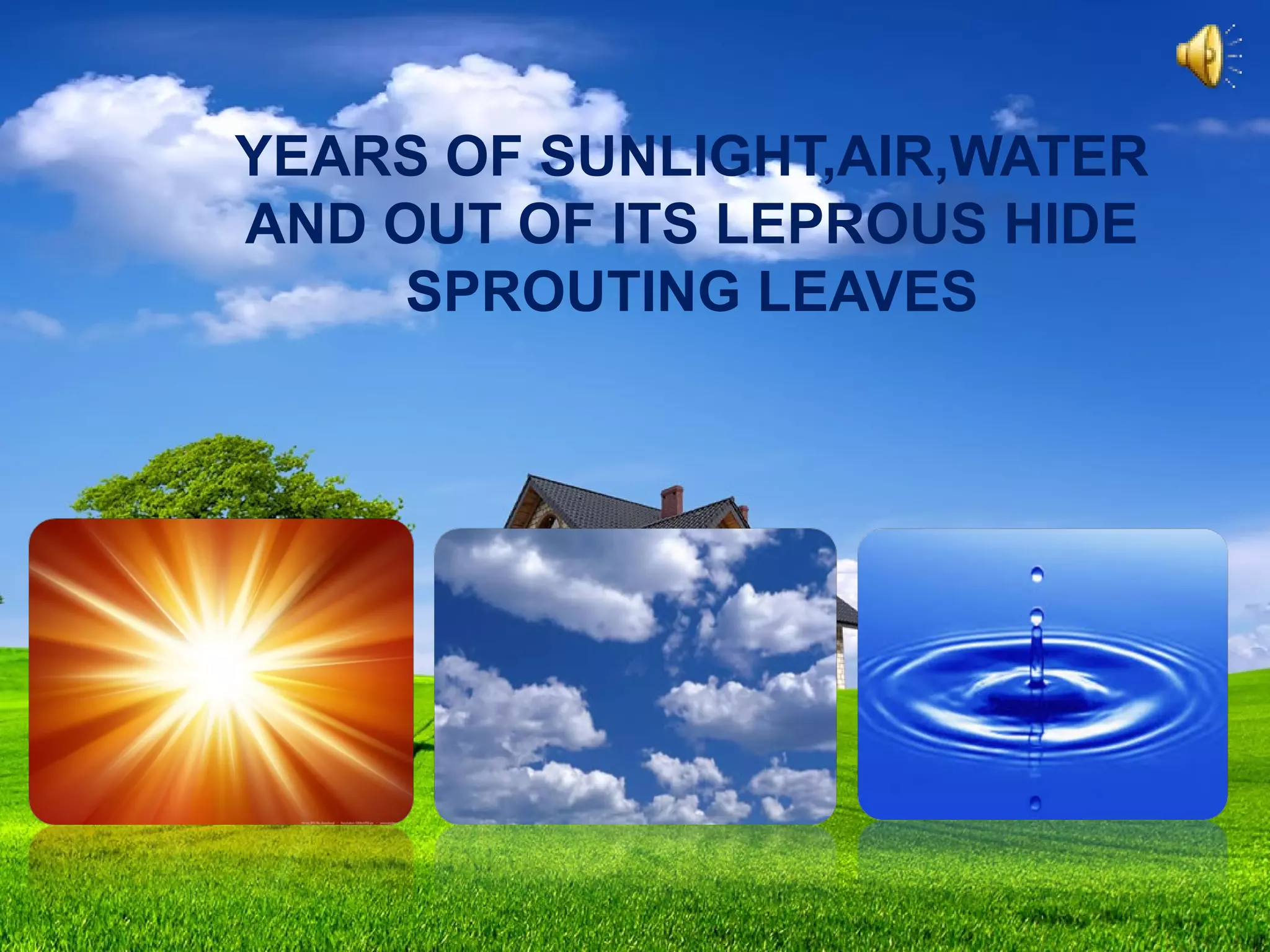 ON KILLING A TREE | PPT