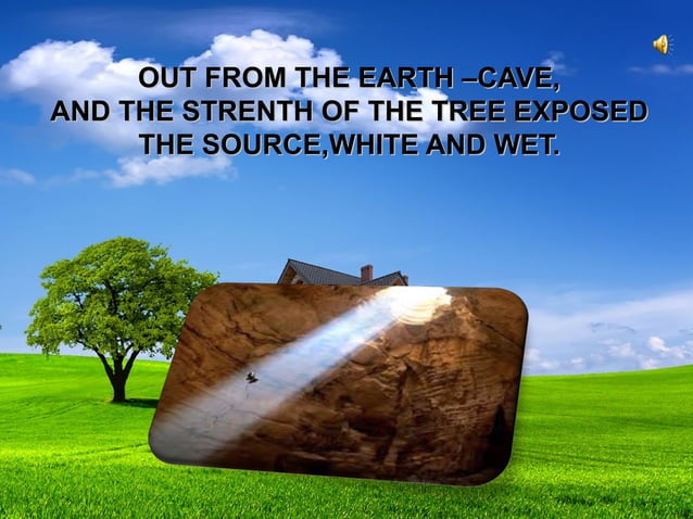 ON KILLING A TREE | PPT | Environmental Services Industry | Industries
