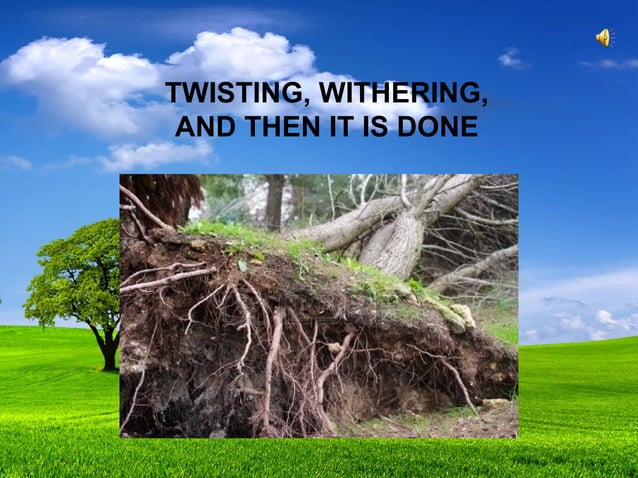 ON KILLING A TREE | PPT | Environmental Services Industry | Industries