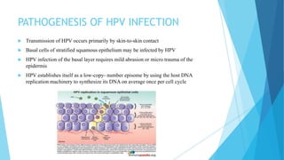 HUMAN PAPILLOMA VIRUS INFECTION & CERVICAL CANCER | PPTX