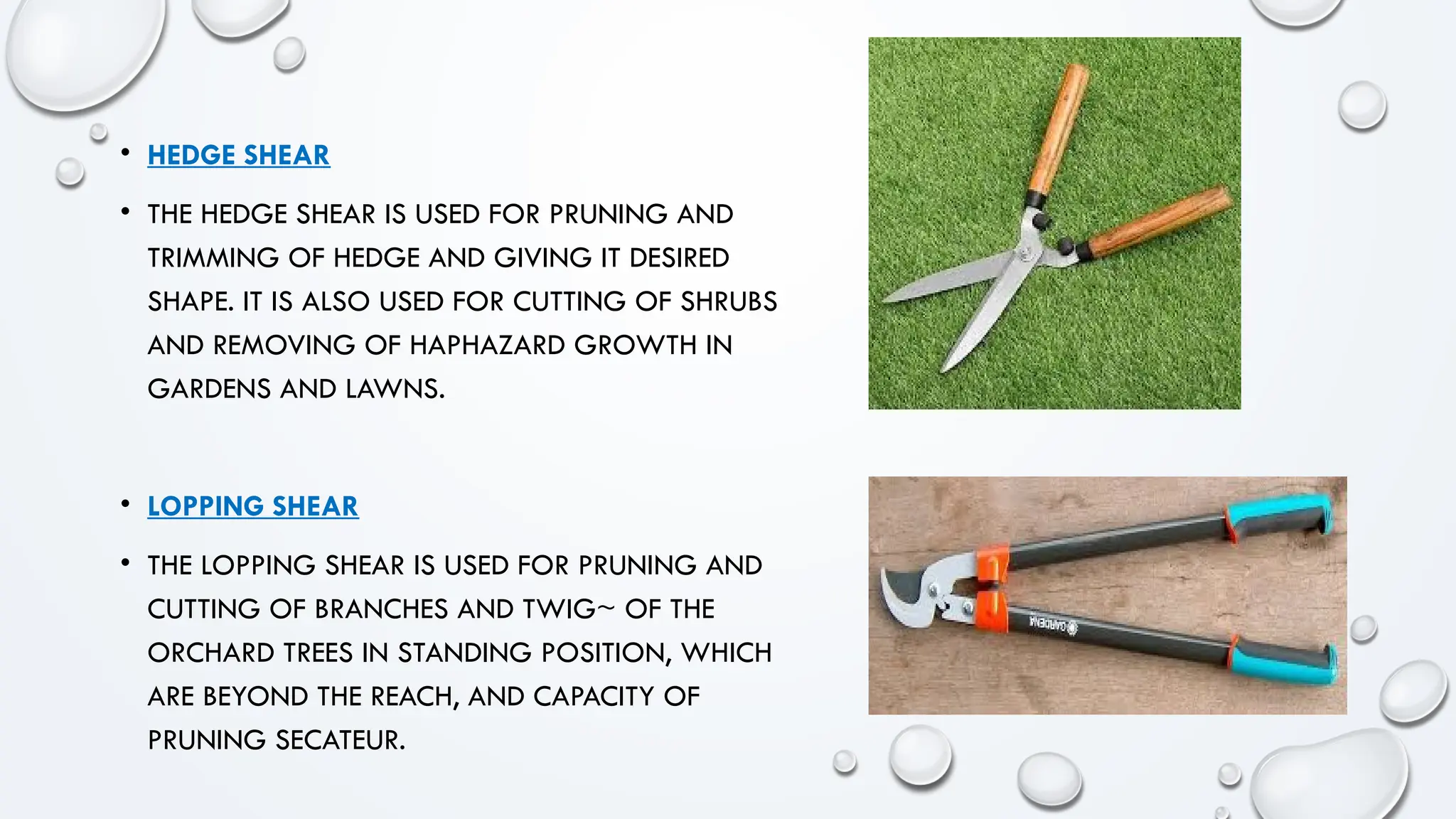 Tools and implements used in horticulture | PPTX