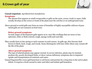 Diseases and management of pear and corrective measure | PPT