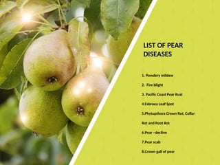 Diseases and management of pear and corrective measure | PPT
