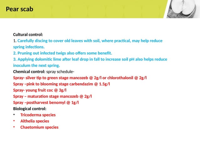 diseases of pear and its management measures | PPT