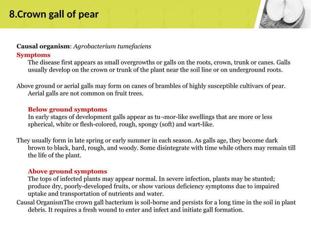 diseases of pear and its management measures | PPT