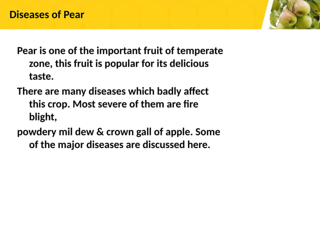 diseases of pear and its management measures | PPT