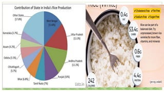 Rice.pptx