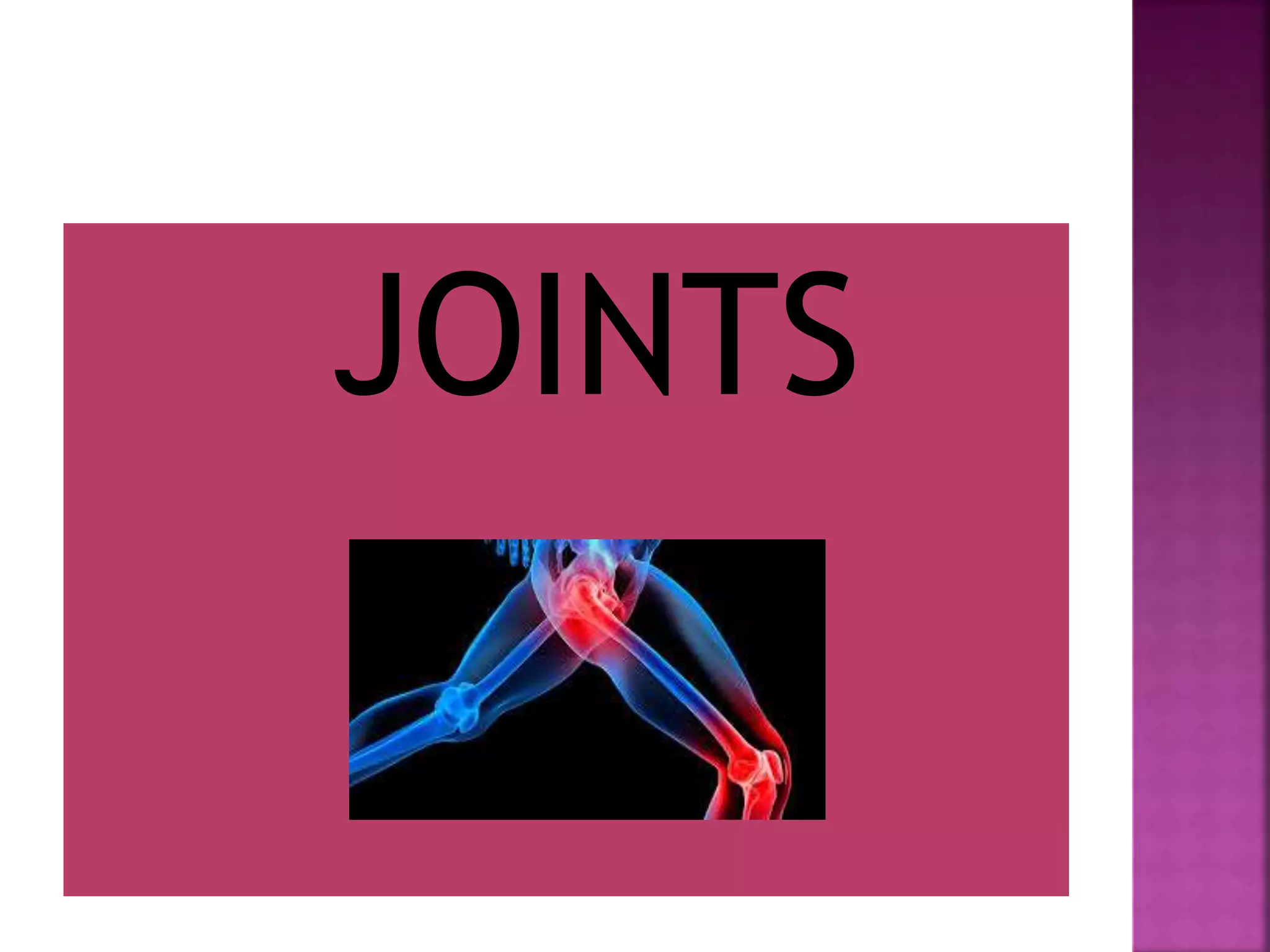 Bones, muscles and joints | PPTX