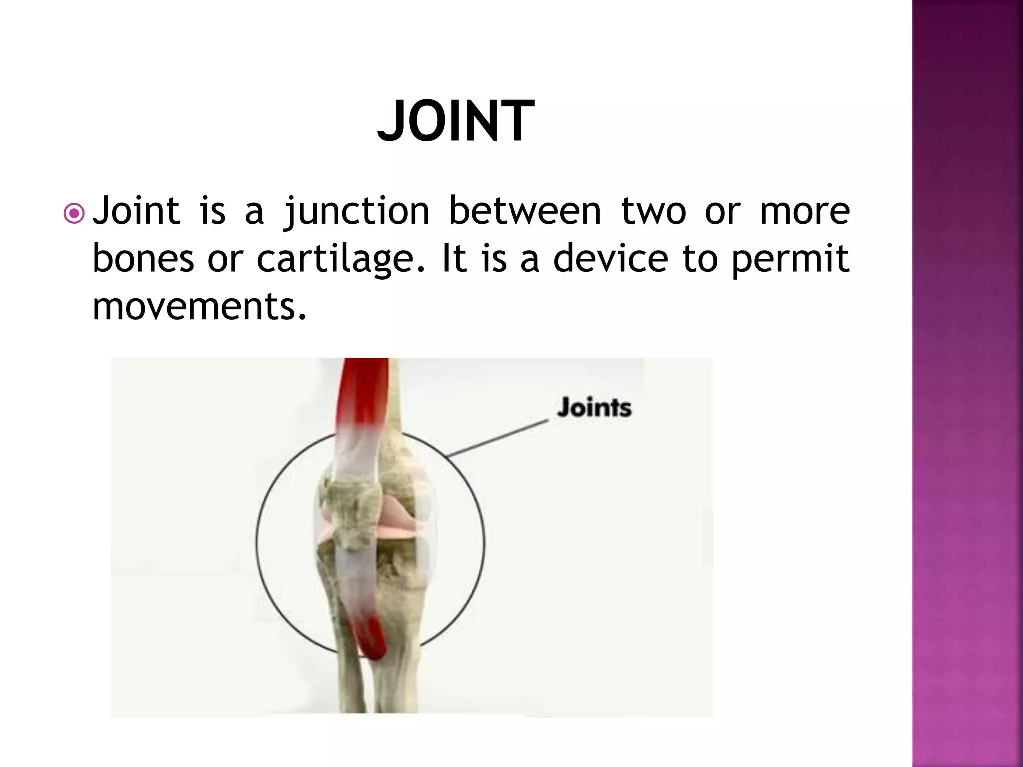 Bones, muscles and joints | PPTX