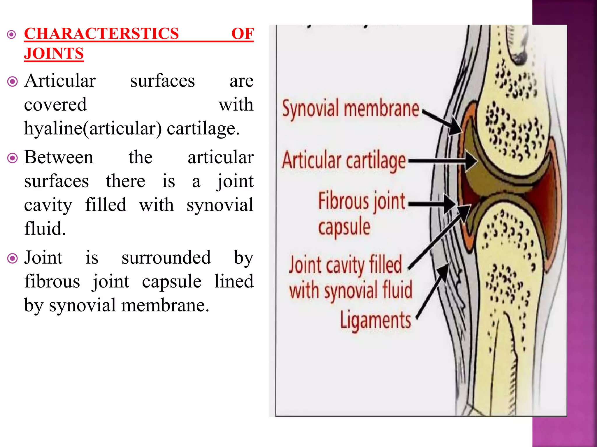 Bones, muscles and joints | PPTX