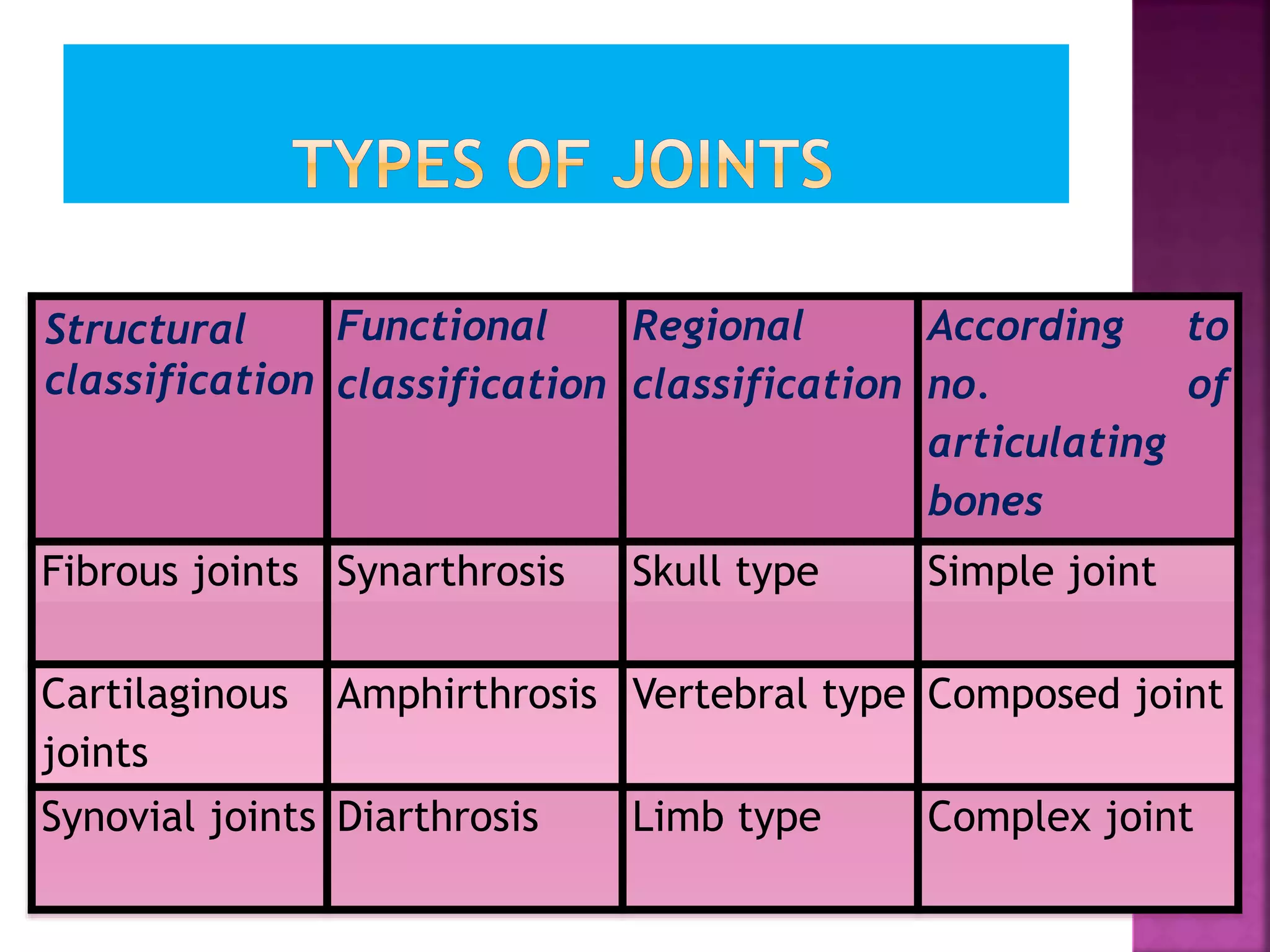 Bones, muscles and joints | PPTX