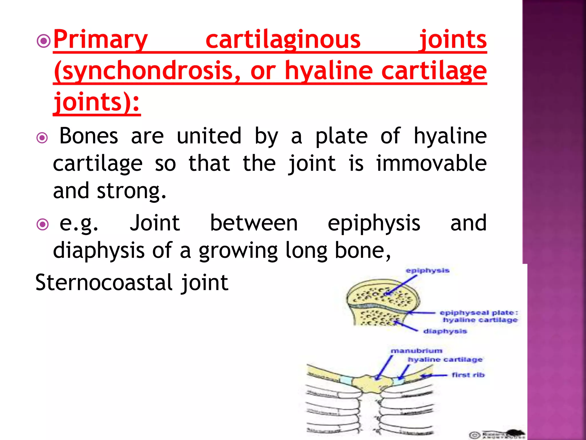 Bones, muscles and joints | PPTX