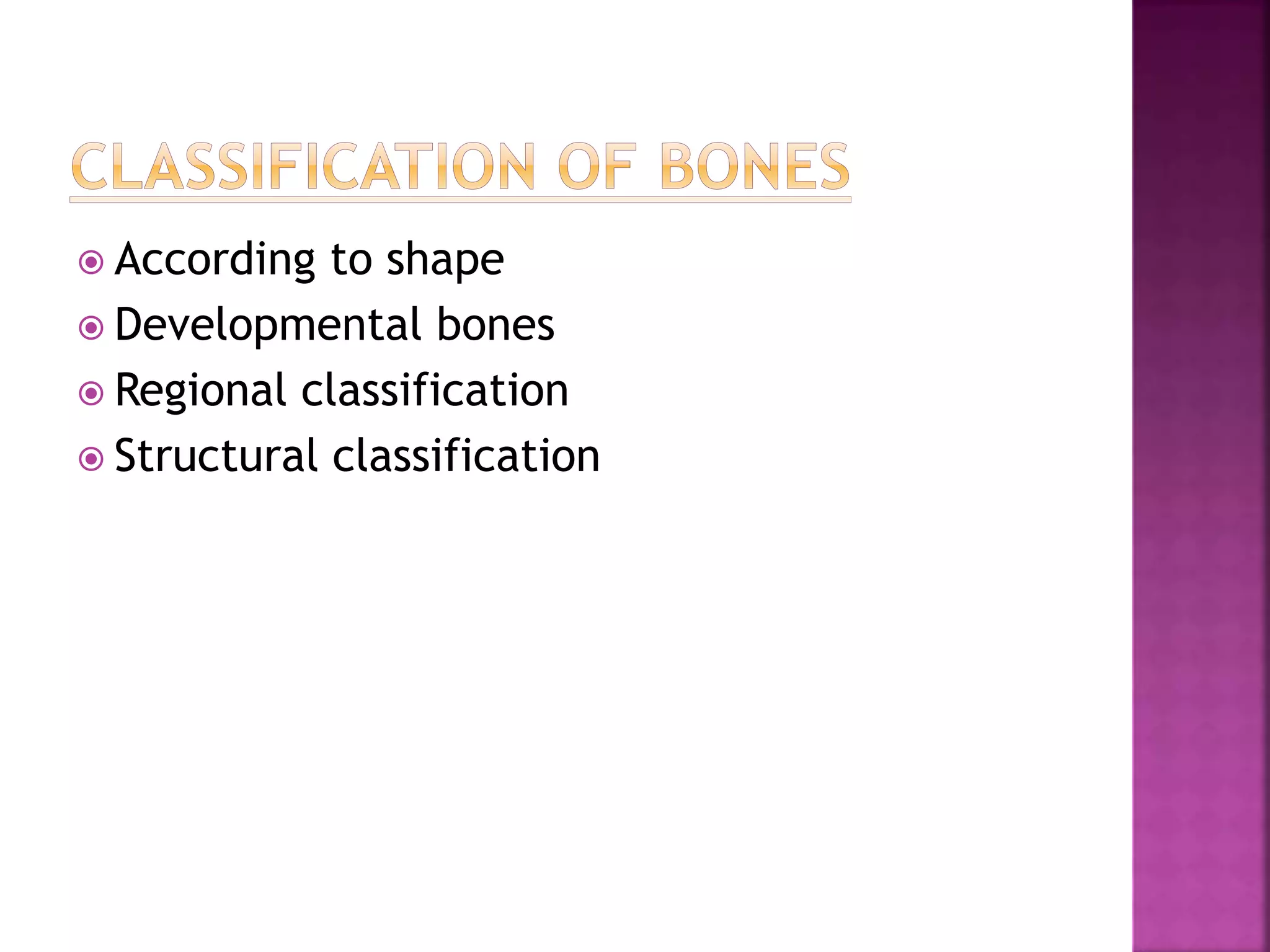 Bones, muscles and joints | PPTX