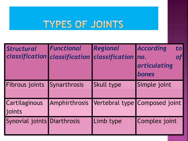 Bones, muscles and joints | PPTX