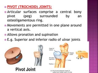 Bones, muscles and joints | PPTX