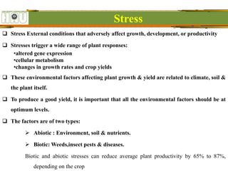 Yield and Environmental Stresses | PPT