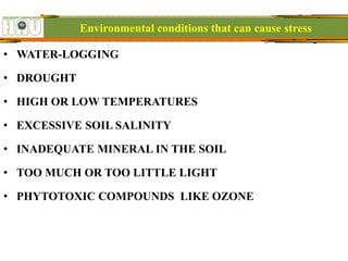 Yield and Environmental Stresses | PPT