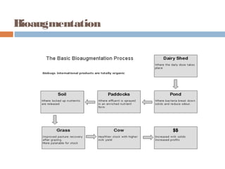 introduction to Bioremediation and its type | PPT