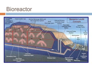introduction to Bioremediation and its type | PPT