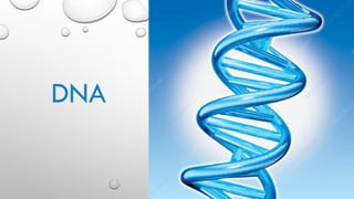 DNA AND DOUBLE HELIX STRUCTURE OF DNA PPT | PPTX