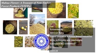 Mahua (𝘔𝘢𝘥𝘩𝘶𝘤𝘢 𝘭𝘰𝘯𝘨𝘪𝘧𝘰𝘭𝘪𝘢) Flower: A Treasure of Non-Timber Forest ...